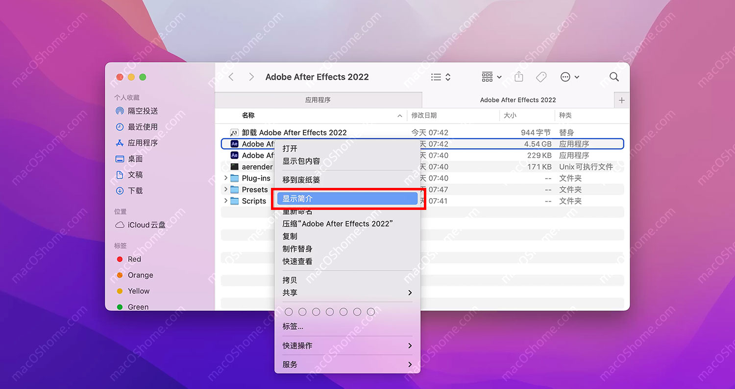 让mac使用rosetta 2打开运行app软件保姆教程 苹果系统之家